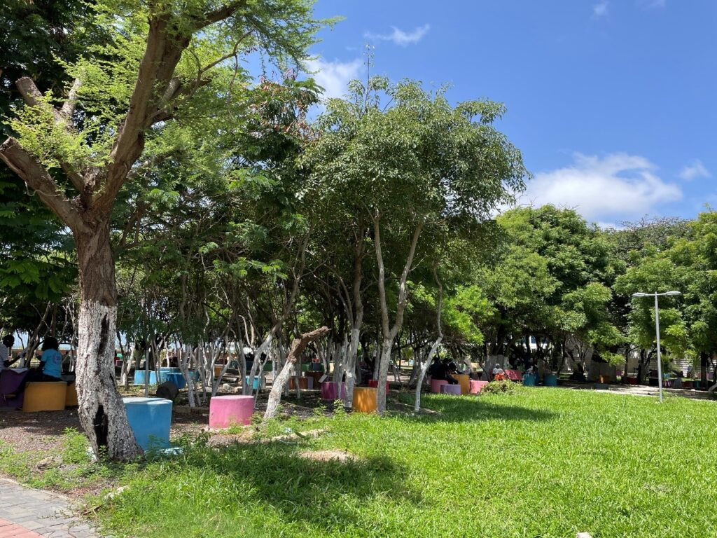 第227回 「メルマガ写真館」 – アジア･アフリカ地域研究研究科 (ASAFAS) 京都大学大学院